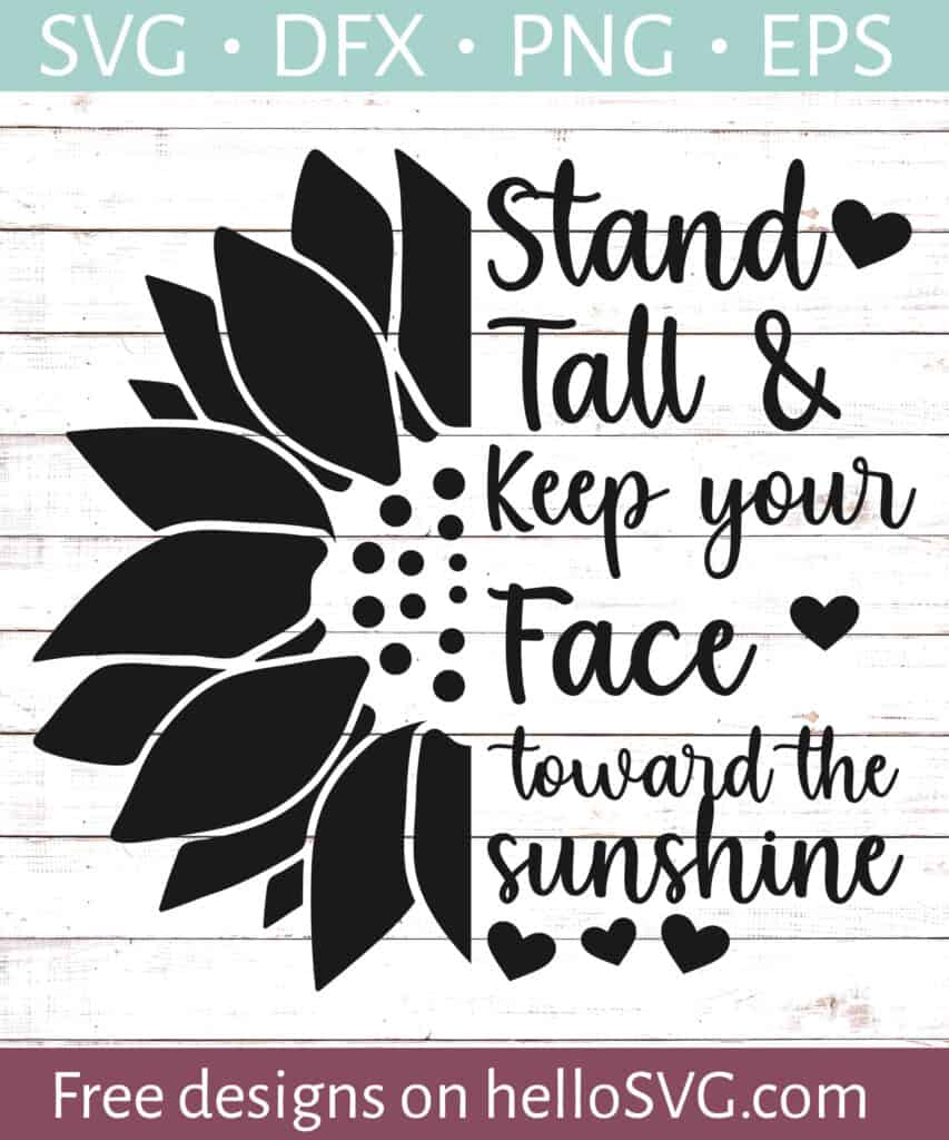 Stand Tall Sunflower SVG - Free SVG files | HelloSVG.com